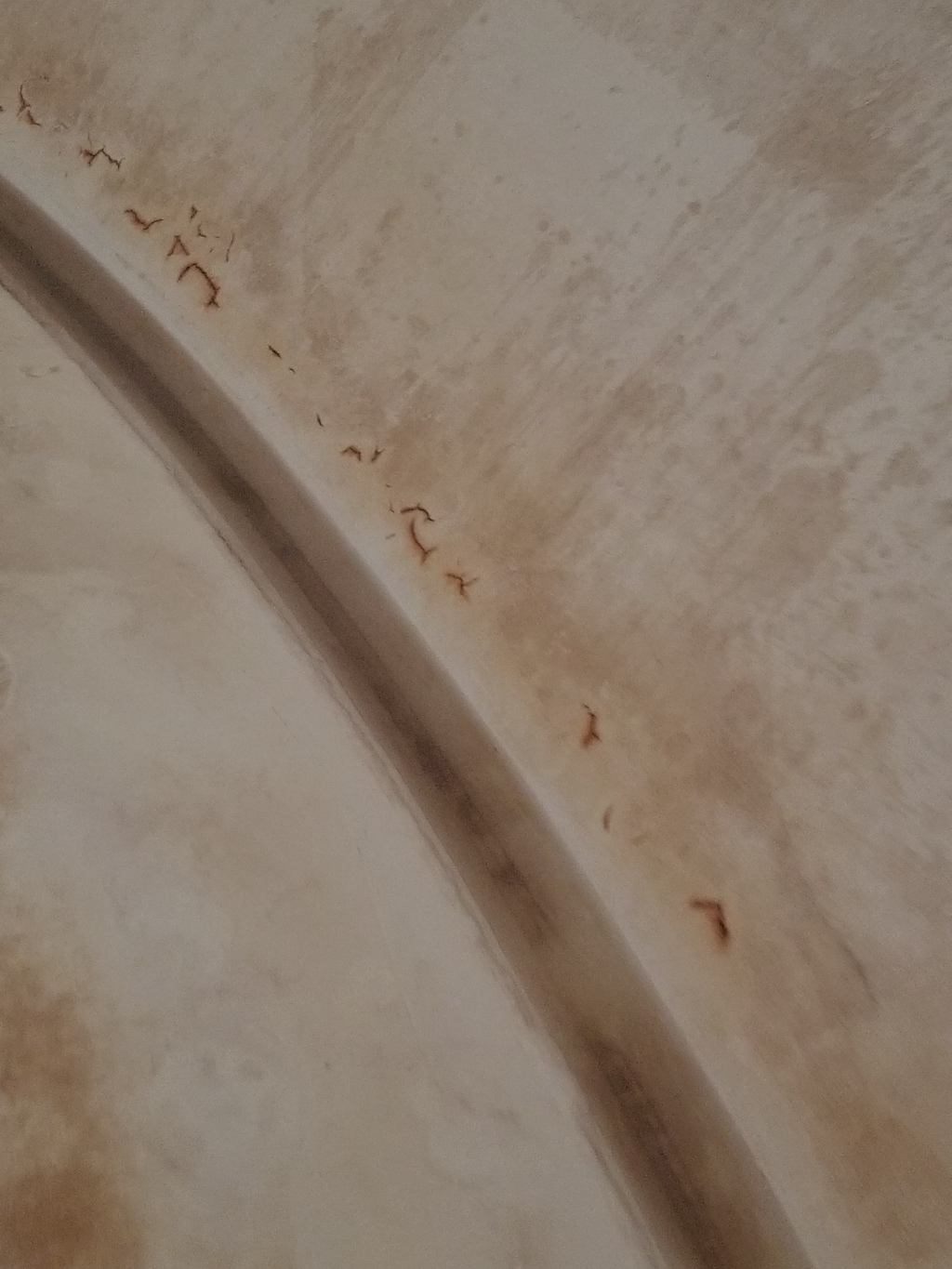 Tank Painting & Repairs – Viking Industrial Painting